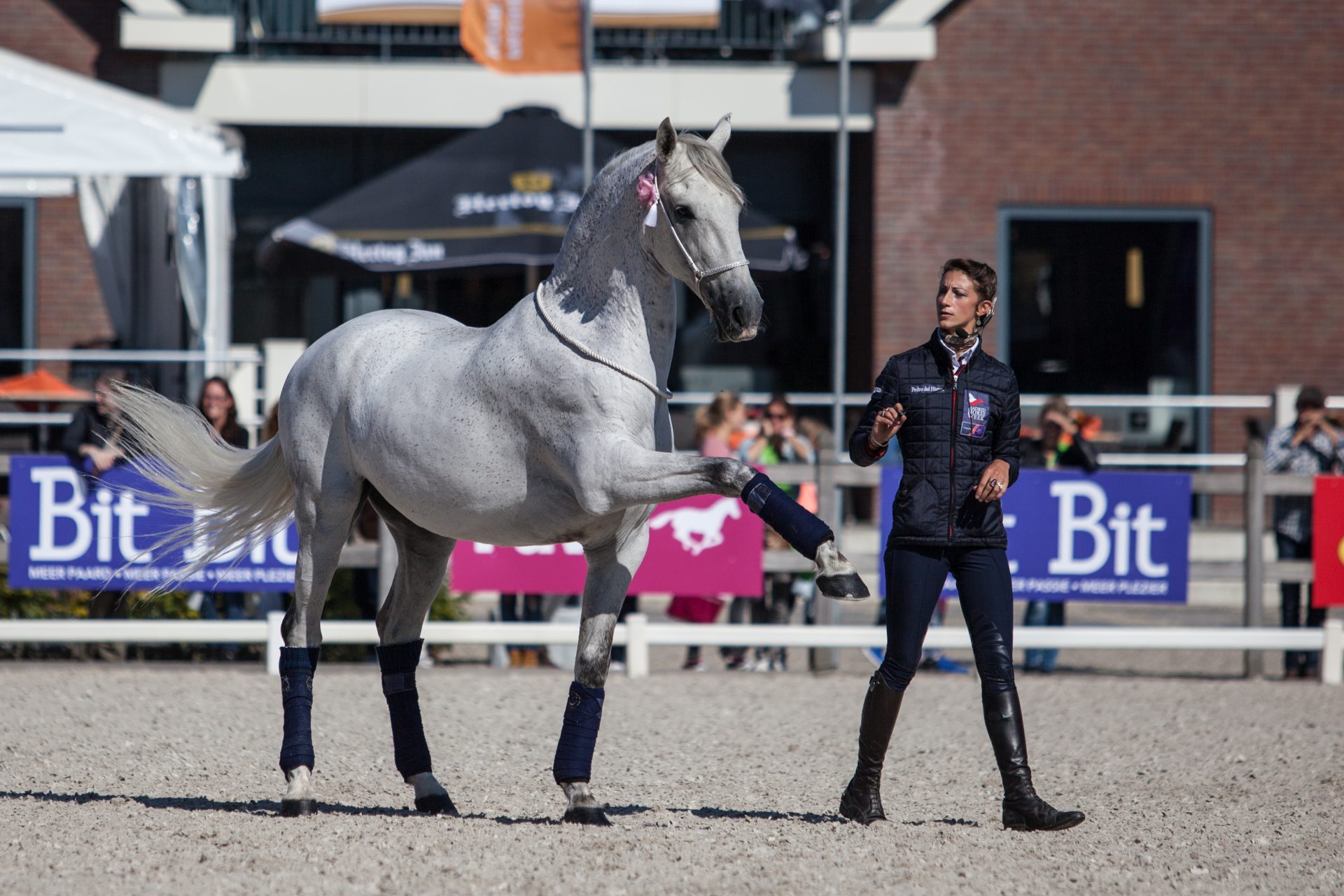 Bitloos rijden met GP-amazone Alizée Froment - Horse Event